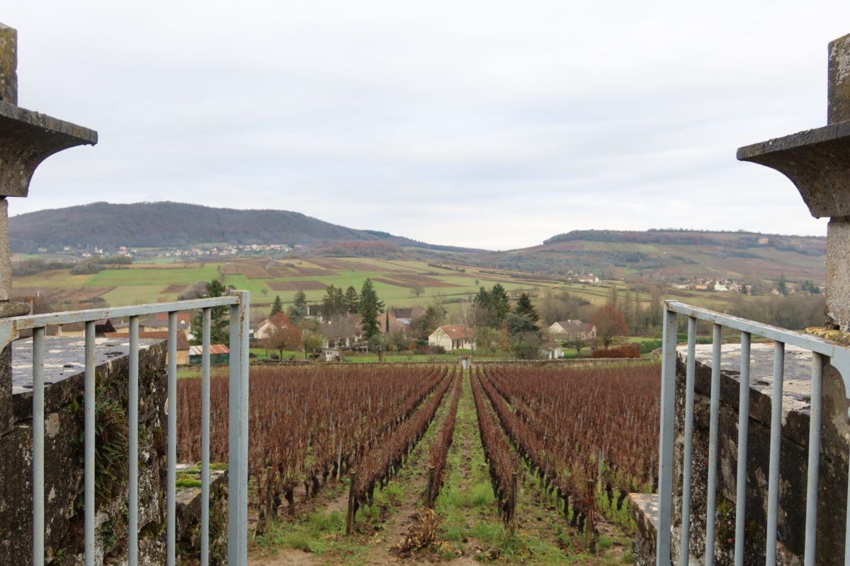DEGUSTATION DE VINS DE LA CÔTE CHALONNAISE : DOMAINE DE L'EVECHE - Les ...
