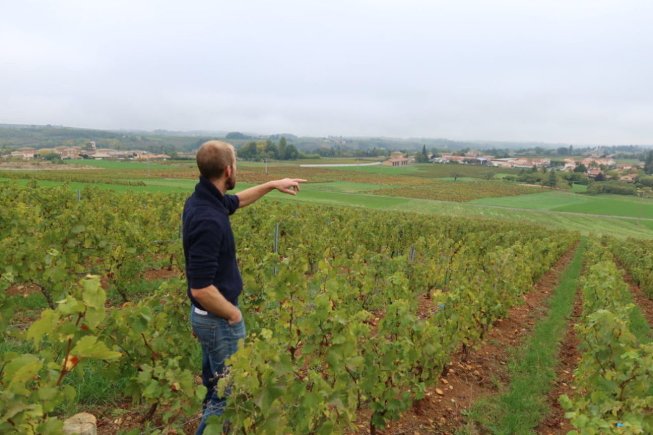 Au Champ de La Croix, Benoît Roche fait vibrer le Beaujolais - Les ...