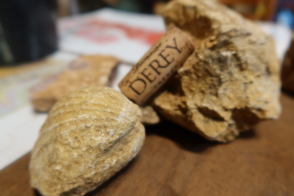 Domaine derey à Couchey, les fils de Pierre - Les Buvologues | Vins de ...