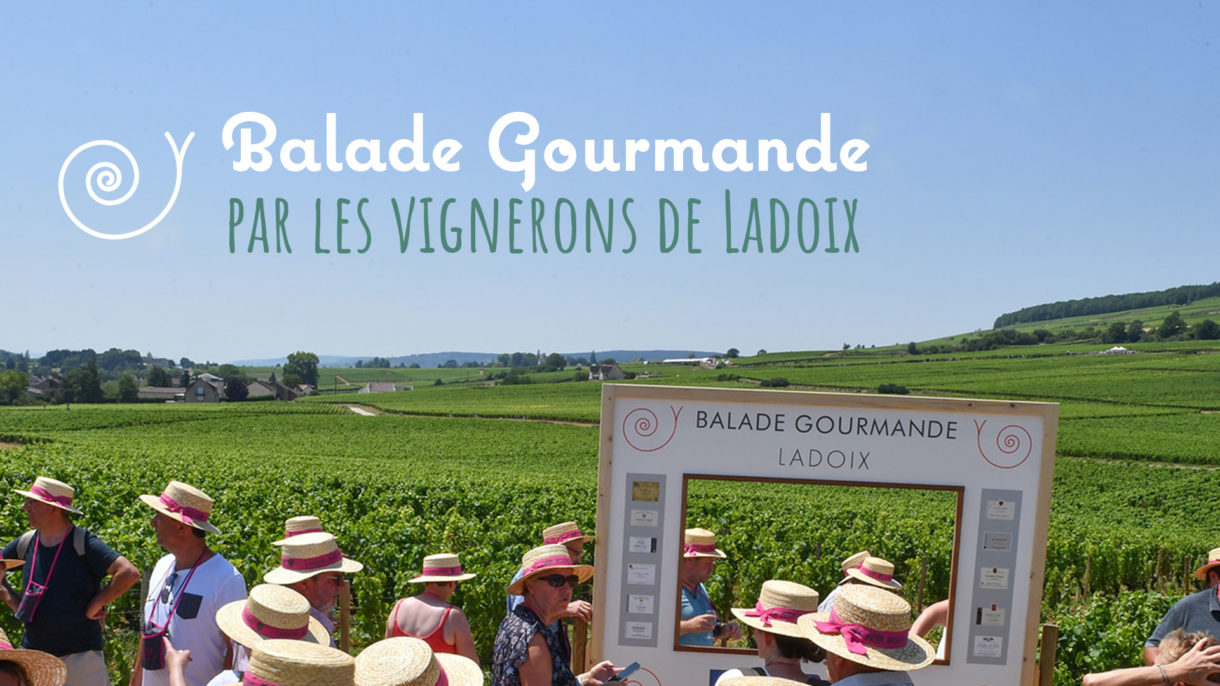 La "Balade Gourmande" à Ladoix, 25 ans de partage! - Les Buvologues ...