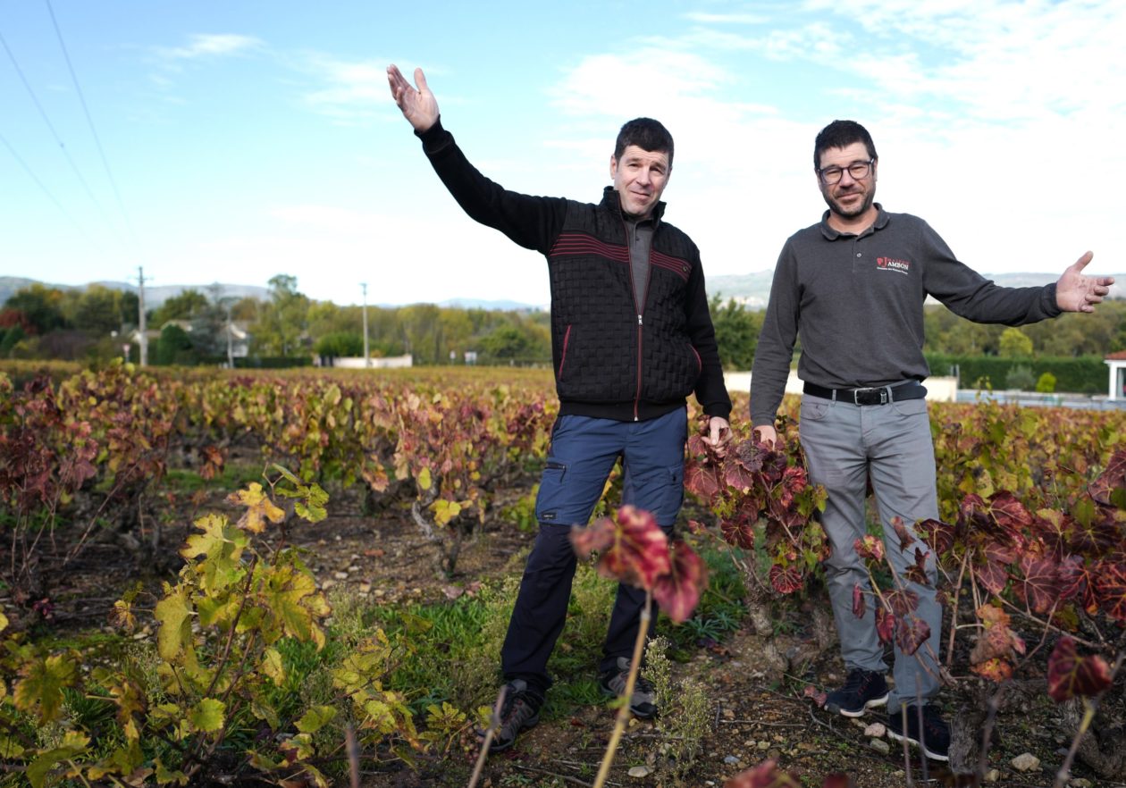 "Portrait des Primeurs 2023", Emmanuel & Dominique Jambon, jumeaux ...