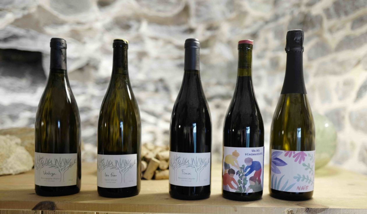 Clos Sauvage, quand l'humain prend la main sur le végétal - Les ...