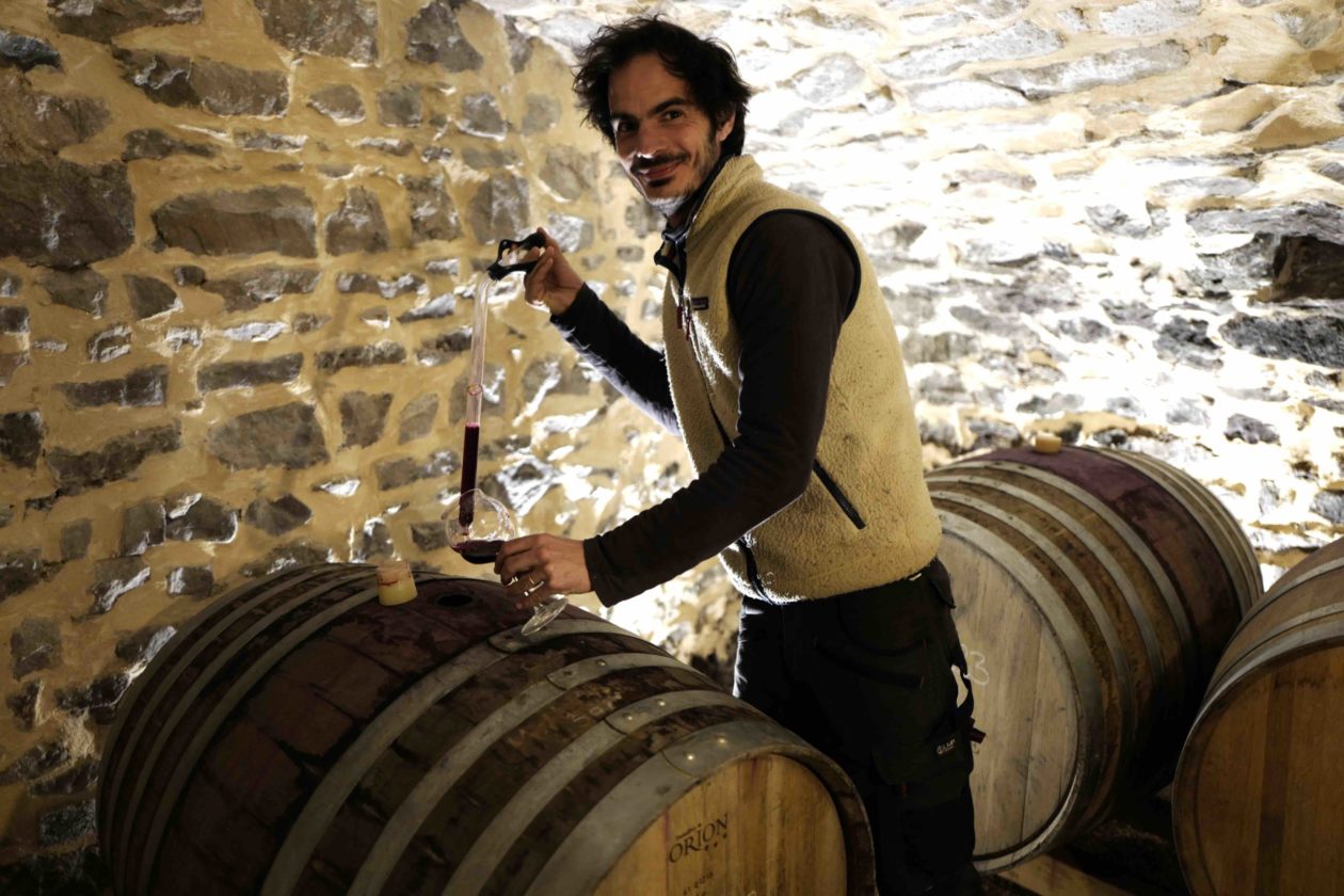 Clos Sauvage, quand l'humain prend la main sur le végétal - Les ...