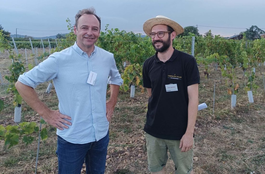 Les cépages du Beaujolais entre passé et avenir... - Les Buvologues ...