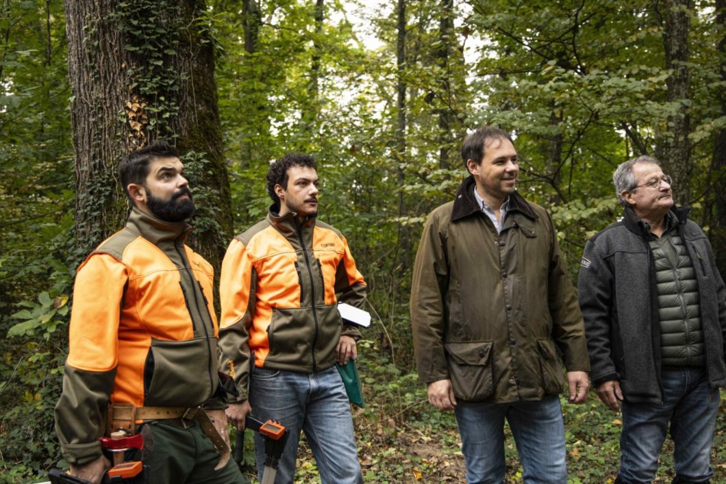 Le château de Pizay transforme sa forêt en tonneaux - Les Buvologues ...